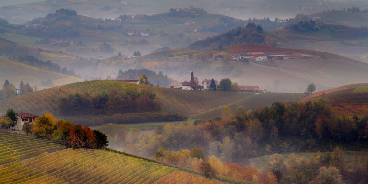 Taste & Learn Ft. Wines From Jermann & Renato Ratti