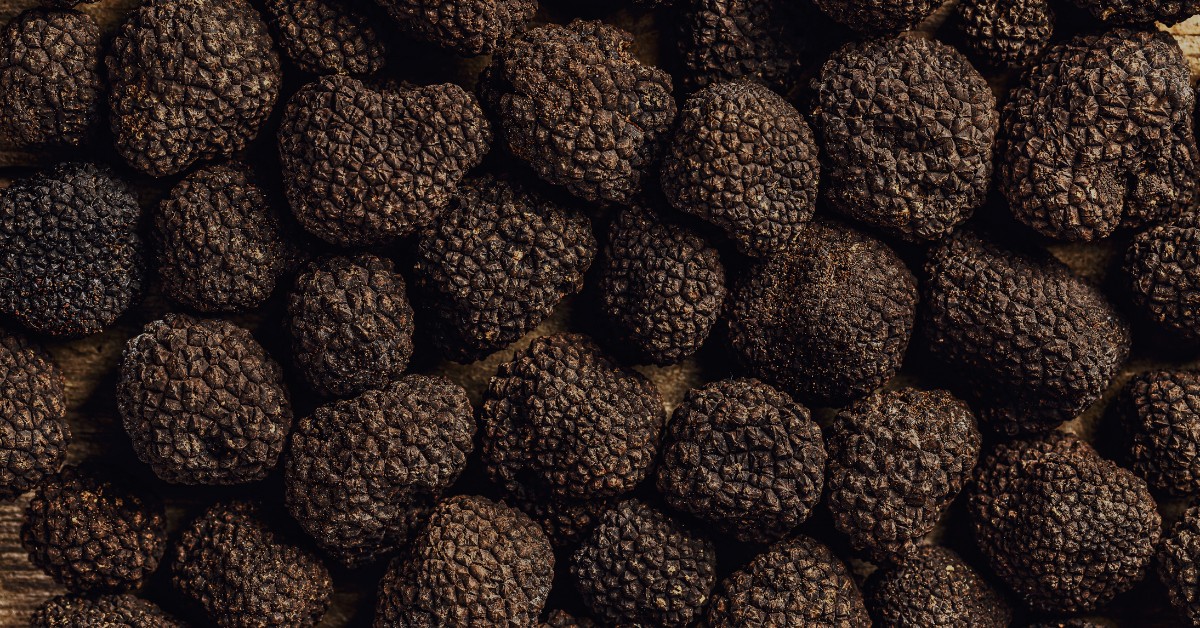 Ferraro's Exclusive Annual Truffle Dinner | Las Vegas